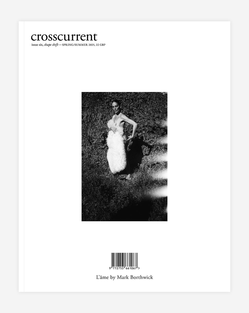 Crosscurrent - Shop